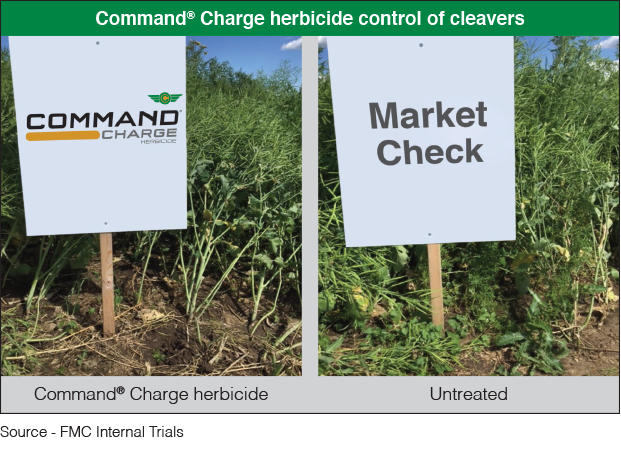Command® Charge herbicide | FMC Ag CA